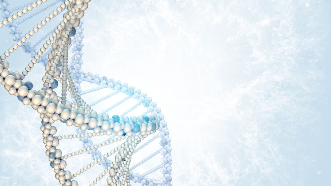 エクソソームをご自宅で！無針注射で安心。オンライン診療も充実。 – exitpiko